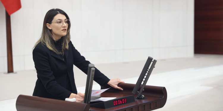 DEM Partili Demir: Kurdistan’ın ekonomik olarak geri bırakılması resmi ...